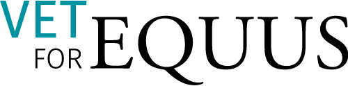 Tierarztpraxis für Pferde in und um Hannover | VET FOR EQUUS