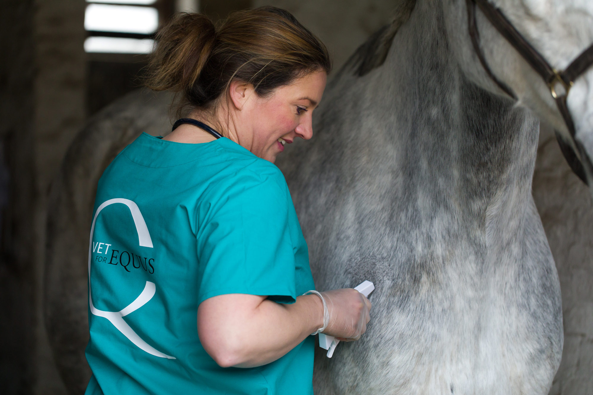 Behandlungsablauf - VET FOR EQUUS
